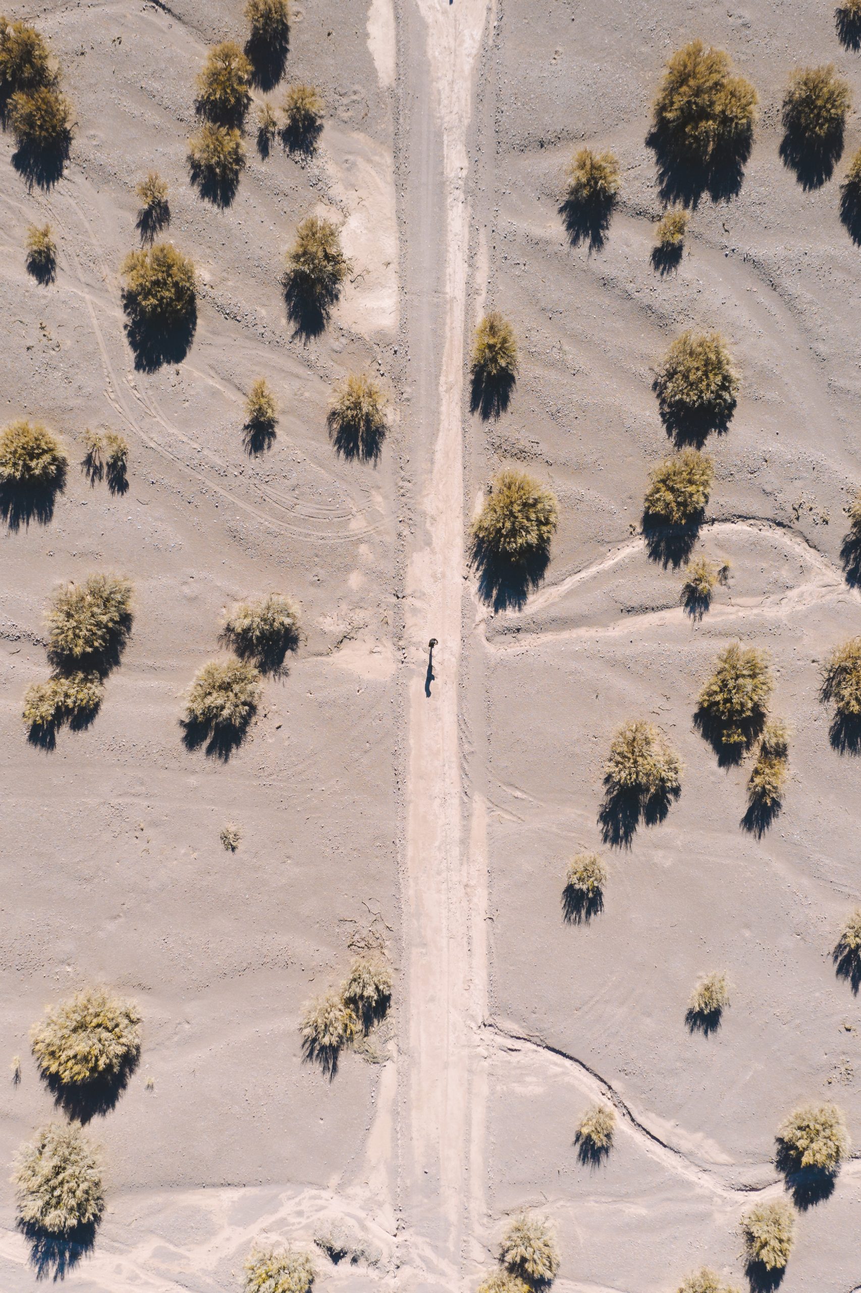 aerial view of bushes on sand field – Consensual Dominance